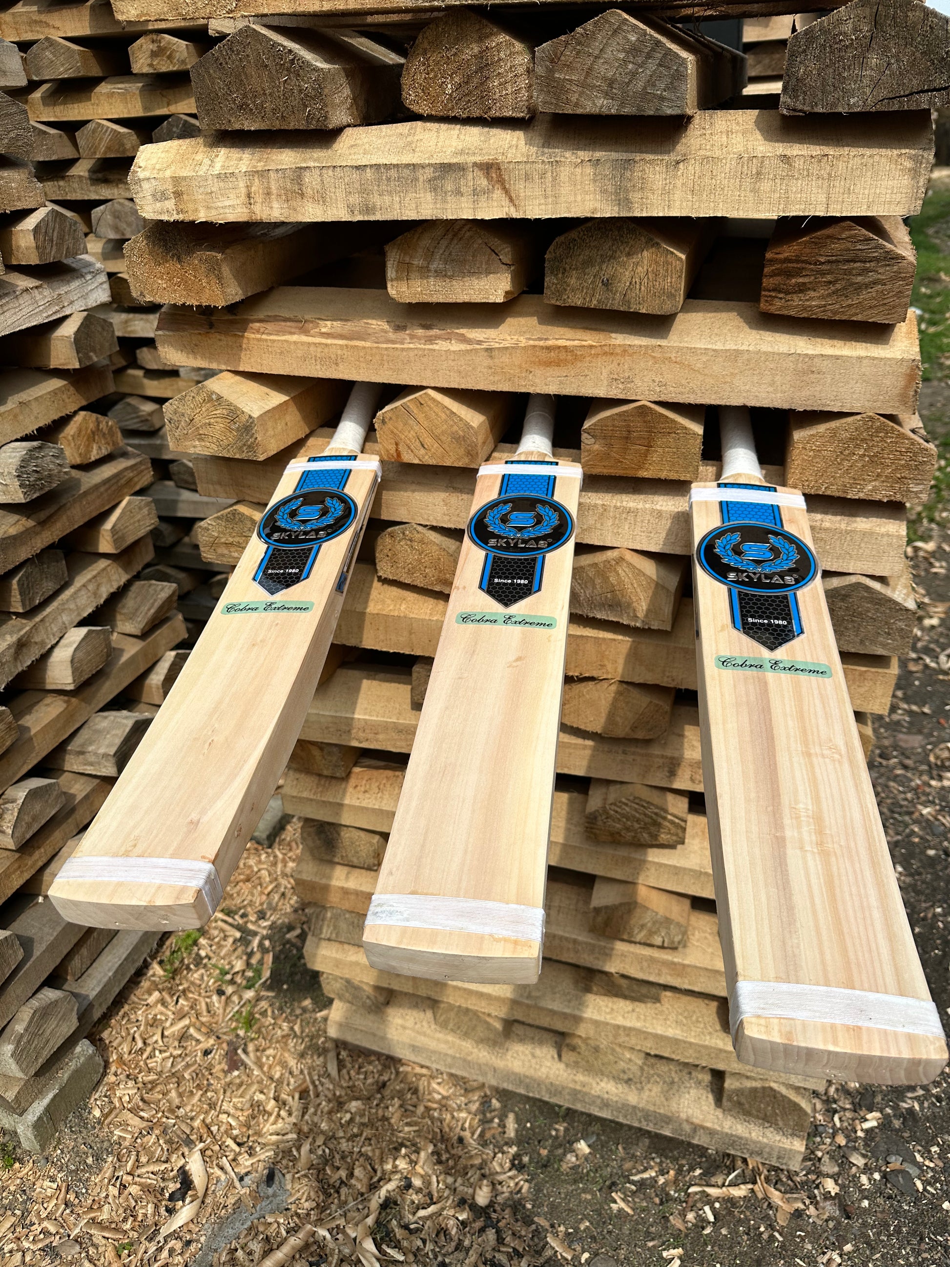 Cobra extreme – Skylabbatfactorymumbai